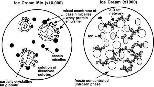 Milk Proteins in Ice Cream | SpringerLink
