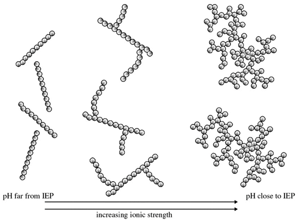 Heat-Induced Denaturation, Aggregation and Gelation of Whey Proteins ...