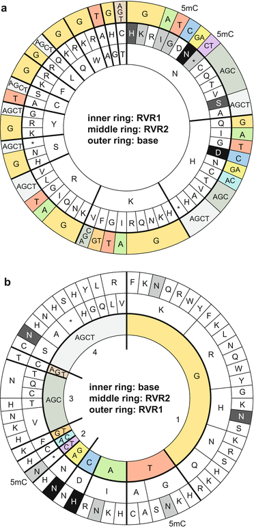 TAL Effector DNA-Binding Principles and Specificity | SpringerLink