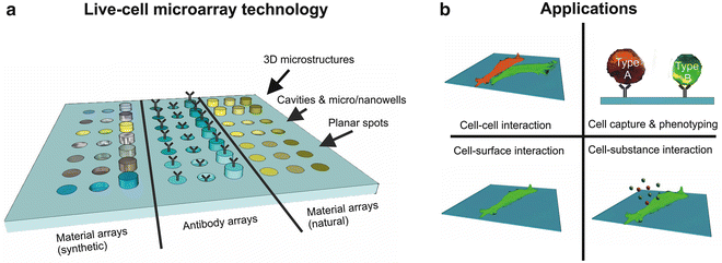 Cell Microarrays for Biomedical Applications | SpringerLink