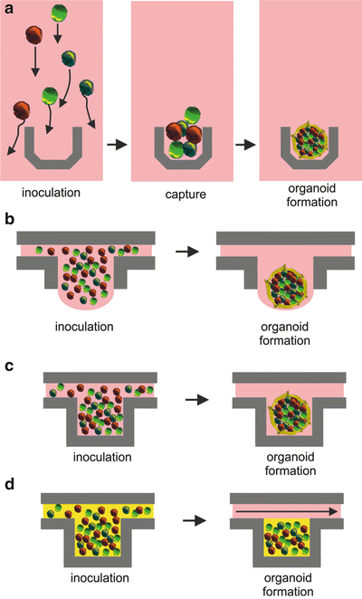 Cell Microarrays for Biomedical Applications | SpringerLink