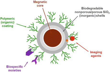 Magnetic Beads Based Nucleic Acid Purification for Molecular Biology ...
