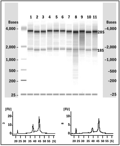High Performance Bead Beating Based Lysing, Homogenization and Grinding ...