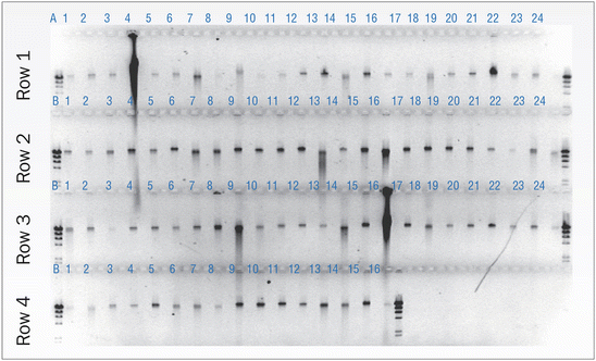 High Performance Bead Beating Based Lysing, Homogenization and Grinding ...