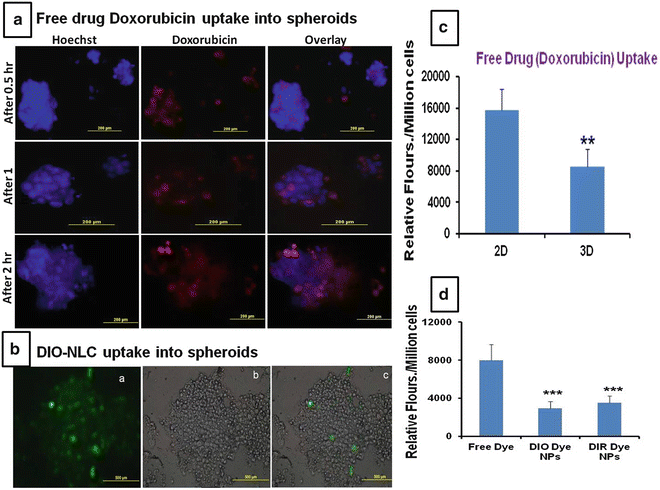 AlgiMatrix™-Based 3D Cell Culture System as an In Vitro Tumor Model: An ...