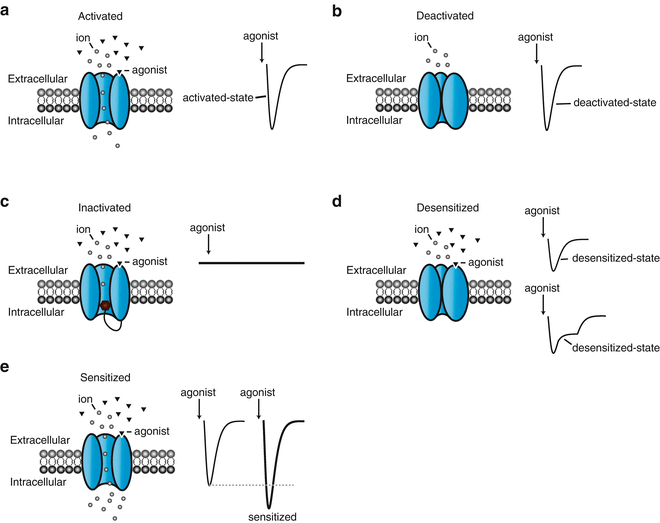 Kinetics of Synaptic Current | SpringerLink