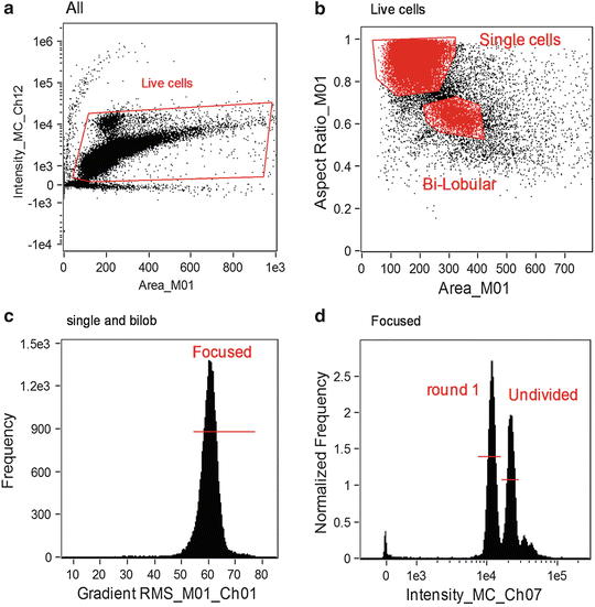 The Analysis of Cell Cycle, Proliferation, and Asymmetric Cell Division by Imaging Flow ...