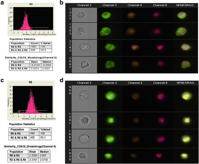 Analysis of Nucleocytoplasmic Protein Shuttling by Imaging Flow Cytometry | SpringerLink