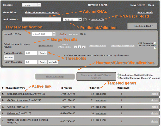 Analyzing MiRNA–LncRNA Interactions | SpringerLink
