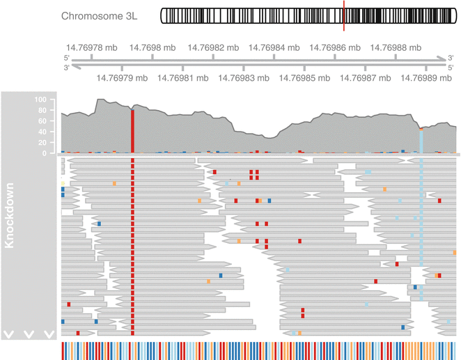 Visualizing Genomic Data Using Gviz and Bioconductor | SpringerLink