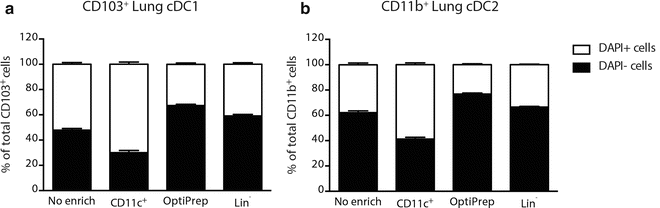 Isolation of Conventional Dendritic Cells from Mouse Lungs | SpringerLink