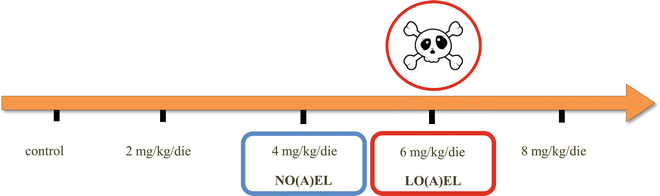 In Silico Models for Repeated-Dose Toxicity (RDT): Prediction of the No ...