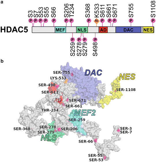 Approaches for Studying the Subcellular Localization, Interactions, and ...