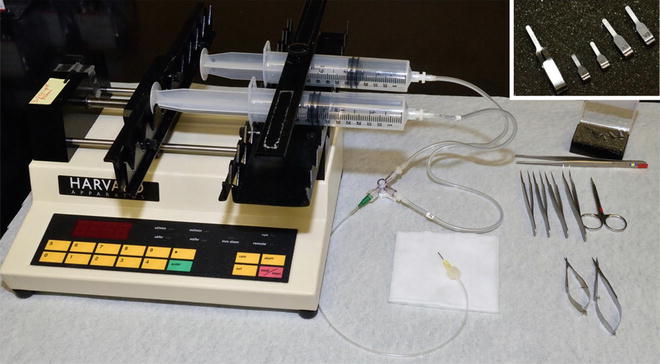 Cardiotoxin Induced Injury and Skeletal Muscle Regeneration | SpringerLink