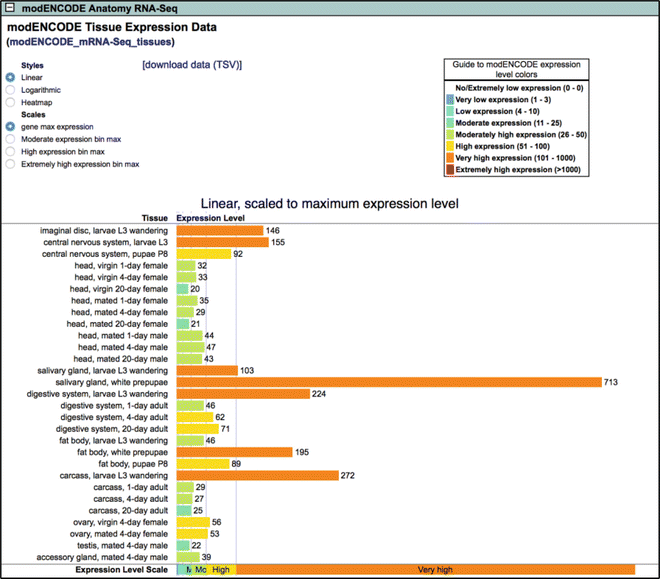Using FlyBase, a Database of Drosophila Genes and Genomes | SpringerLink