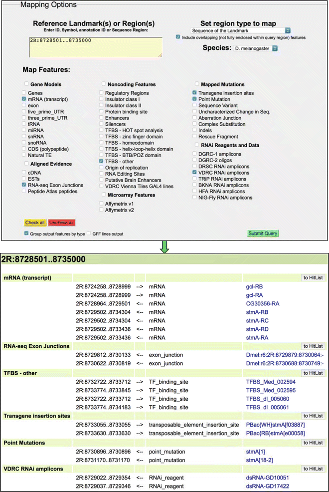 Using FlyBase, a Database of Drosophila Genes and Genomes | SpringerLink