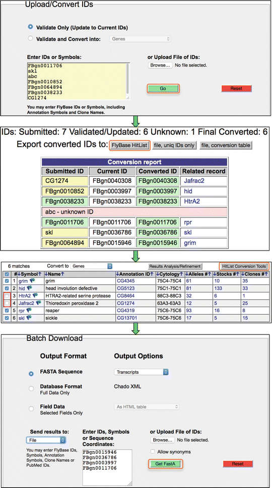 Using FlyBase, a Database of Drosophila Genes and Genomes | SpringerLink