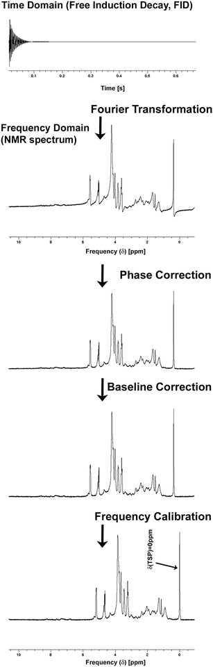 Nuclear Magnetic Resonance Spectroscopy-Based Identification of Yeast ...