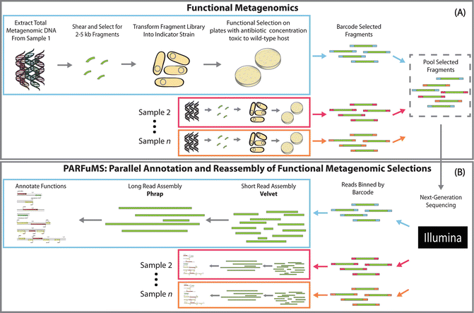 Functional Metagenomics to Study Antibiotic Resistance | SpringerLink