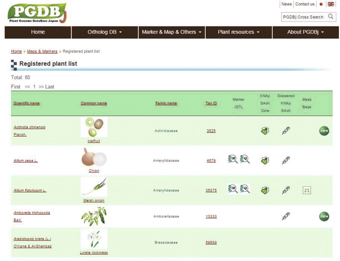 Plant Genome DataBase Japan (PGDBj) | SpringerLink