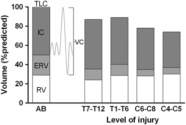Respiratory System Responses to Exercise in Spinal Cord Injury ...