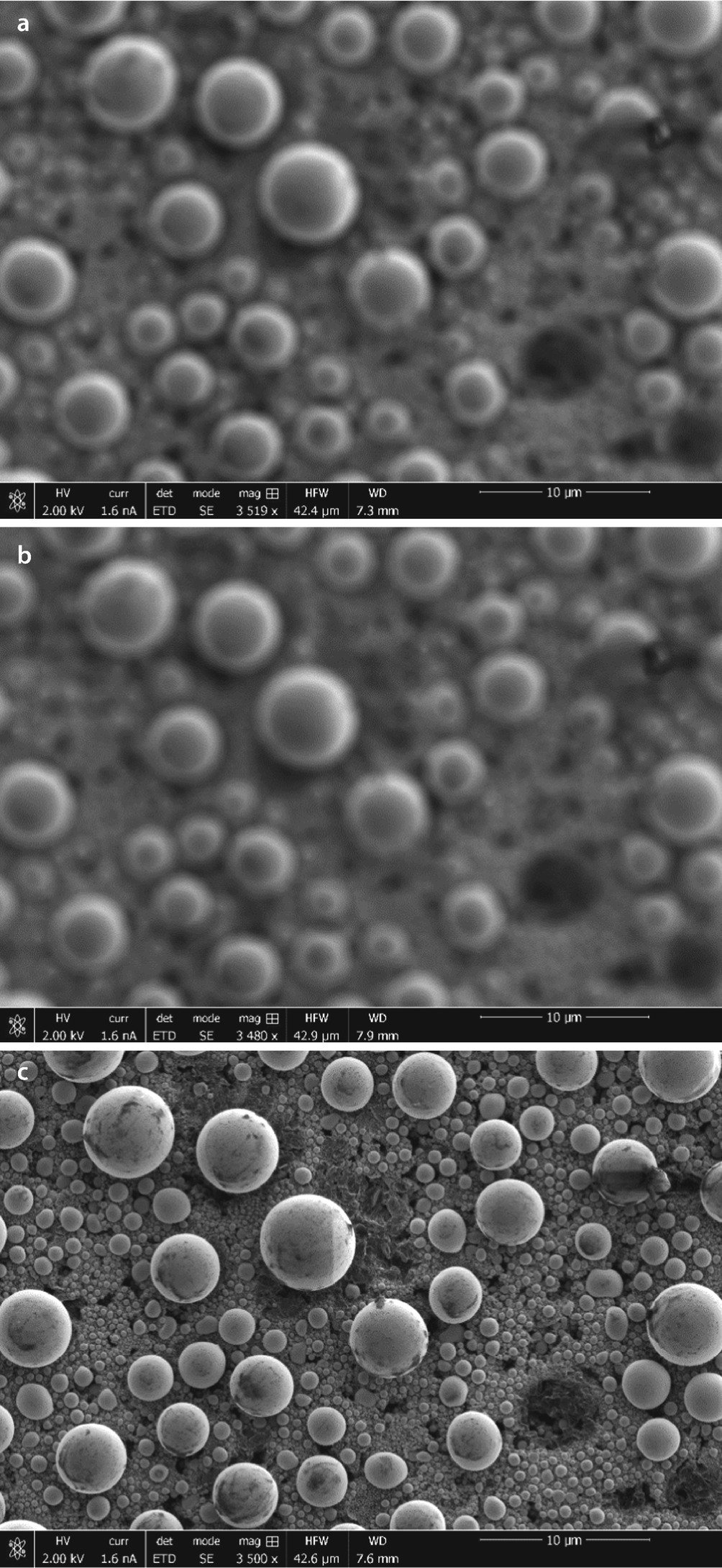 Scanning Electron Microscope (SEM) Instrumentation | SpringerLink