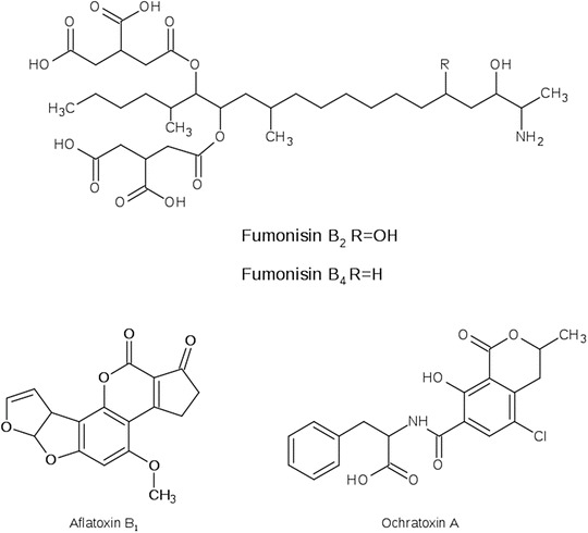 Aspergillus Species and Their Associated Mycotoxins | SpringerLink