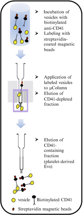 Isolation of Platelet-Derived Extracellular Vesicles | SpringerLink