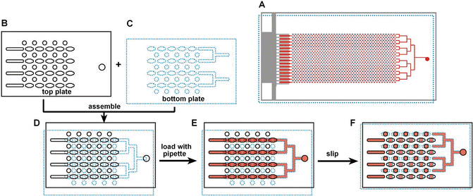 SlipChip Device for Digital Nucleic Acid Amplification | SpringerLink