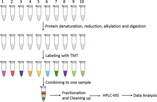 Relative Protein Quantification Using Tandem Mass Tag Mass Spectrometry | SpringerLink