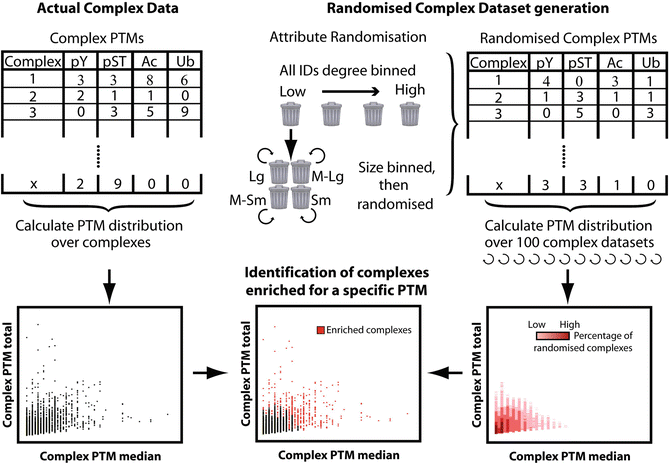 Bioinformatics Analysis of PTM-Modified Protein Interaction Networks ...