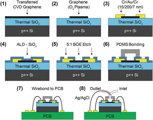 All-Electrical Graphene DNA Sensor Array | SpringerLink