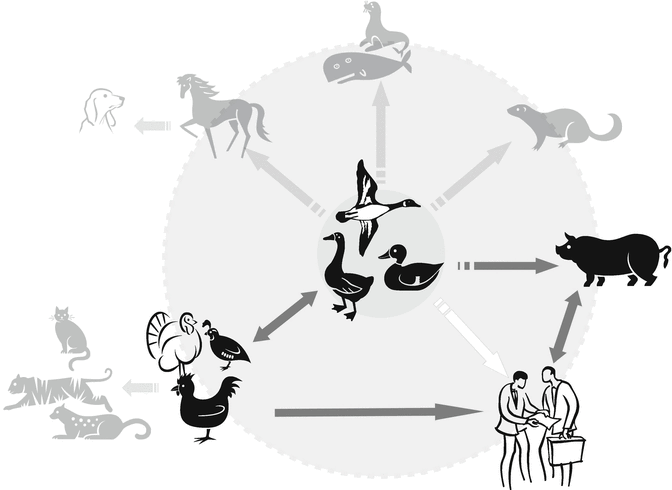 Plasmid-Based Reverse Genetics of Influenza A Virus | SpringerLink