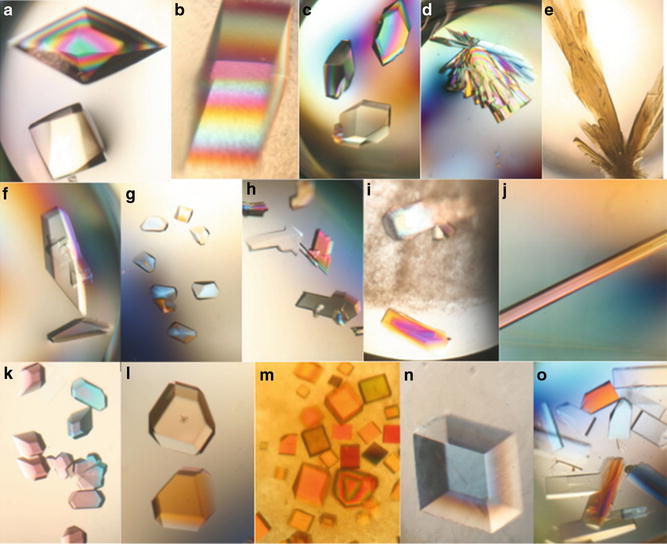Protein Crystallization | SpringerLink