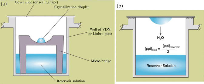 Protein Crystallization | SpringerLink