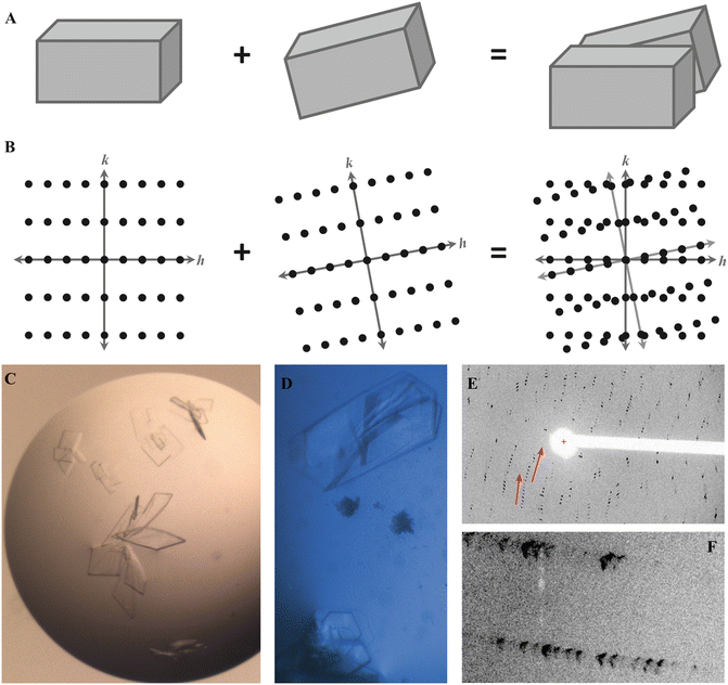 Identifying and Overcoming Crystal Pathologies: Disorder and Twinning ...