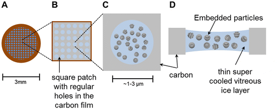 Structural Analysis of Protein Complexes by Cryo Electron Microscopy ...