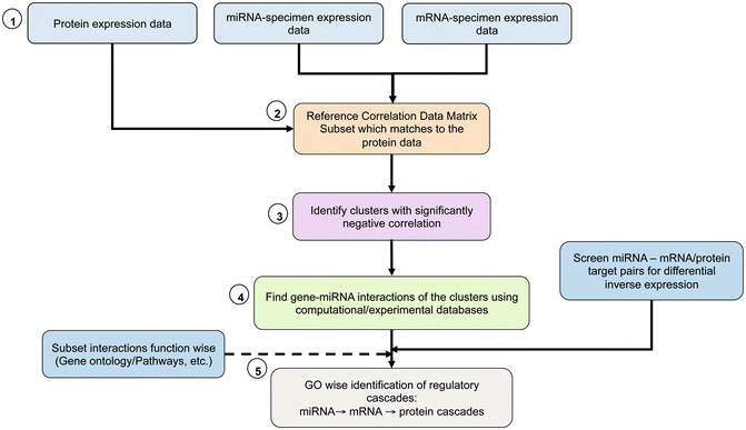 Integration of Transcriptomic and Proteomic Data for Disease Insights ...