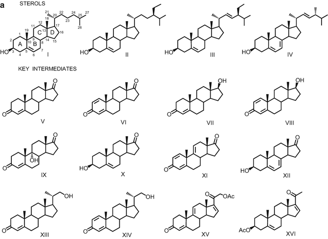 Steroid Bioconversions | SpringerLink