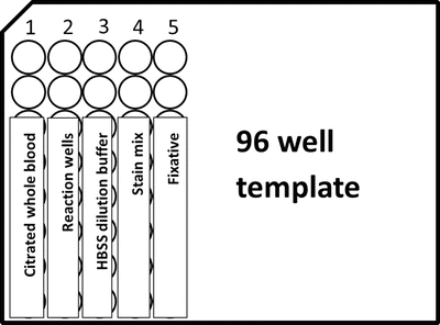 Flow Cytometry Protocols for Assessment of Platelet Function in Whole ...