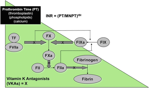 Optimizing the Verification of Mean Normal Prothrombin Time (MNPT) and ...
