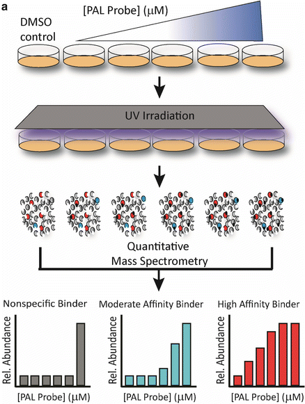 A Photoaffinity Labeling-Based Chemoproteomics Strategy for Unbiased ...