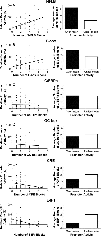 Constructing Strong Cell Type-Specific Promoters Through Informed ...