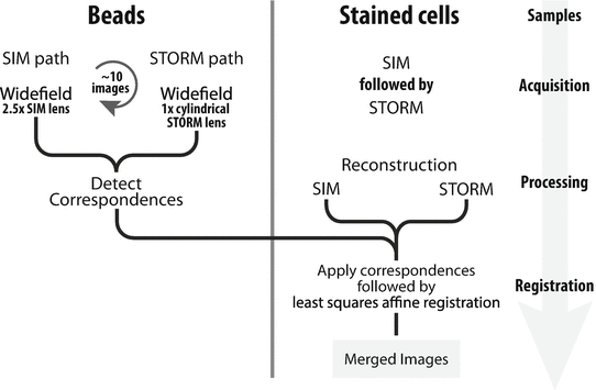 Correlative SIM-STORM Microscopy | SpringerLink