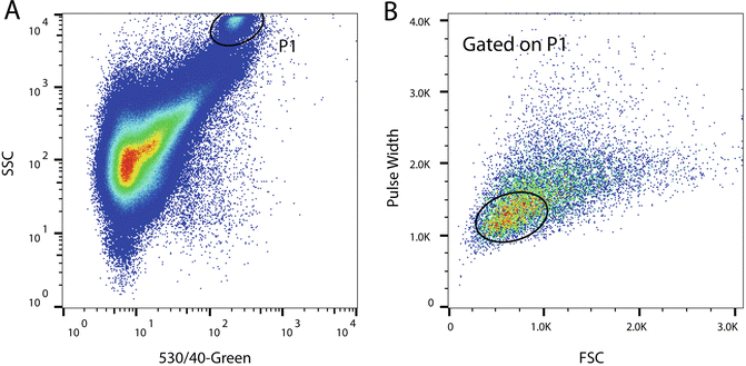 Isolation of Arabidopsis Pollen, Sperm Cells, and Vegetative Nuclei by ...