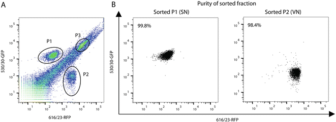 Isolation of Arabidopsis Pollen, Sperm Cells, and Vegetative Nuclei by ...
