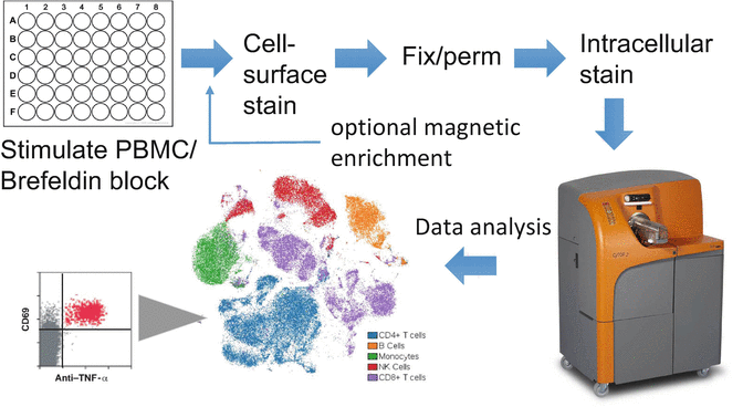 Mass Cytometry Assays for Antigen-Specific T Cells Using CyTOF ...