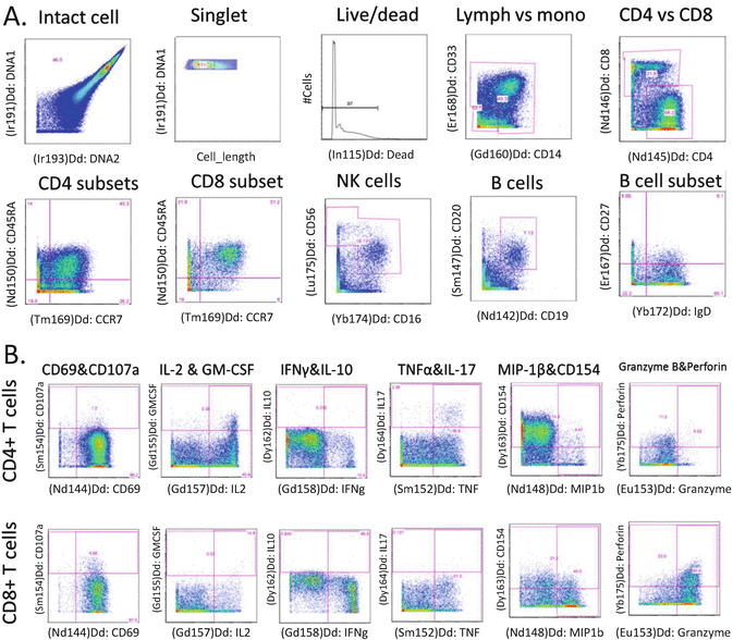 Mass Cytometry Assays for Antigen-Specific T Cells Using CyTOF ...