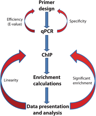 How to Combine ChIP with qPCR | SpringerLink