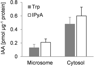 ER Microsome Preparation in Arabidopsis thaliana | SpringerLink